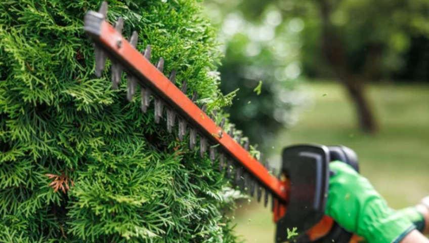 Hedge Trimming - sunriselawncare.com